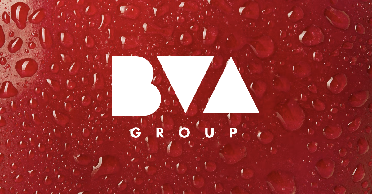 Contact BVA Group | Your Trusted Fresh Produce Export Partner